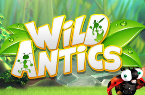 Wild Antics Mobile Slot Reviewed — Literally Ant's Antics...